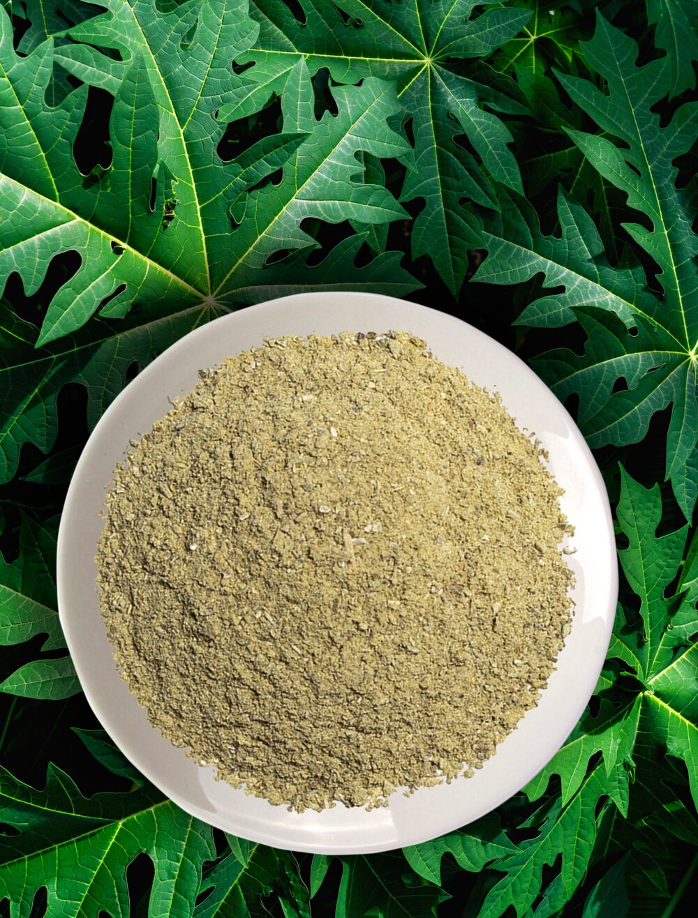 Papaya Leaf Organic Powder – Organic Life Teas
