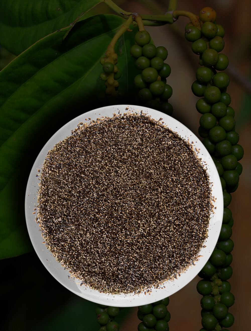 Organic Black Pepper – Powder – Seren Leaf Organic – Bio Bliss