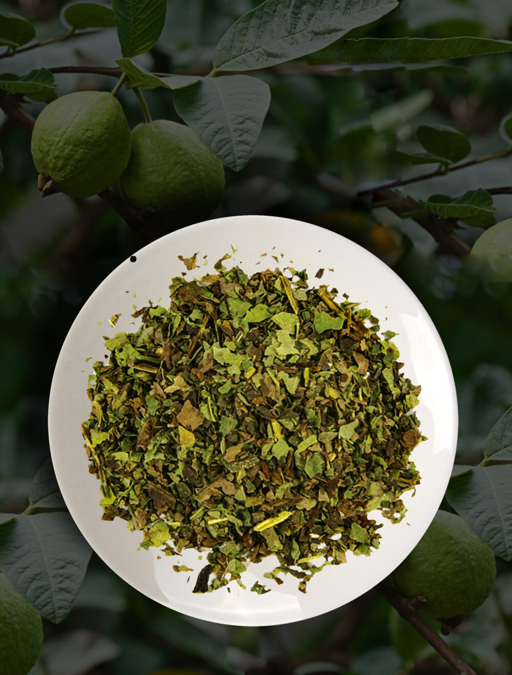 Guava Leaf – Tea Bag Cut – Seren Leaf Organic – Bio Bliss