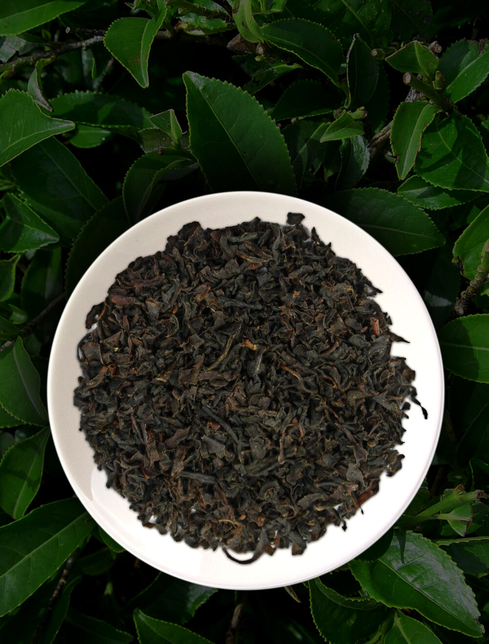 Pomegranate Black – Flavored Tea – Organic Life Teas