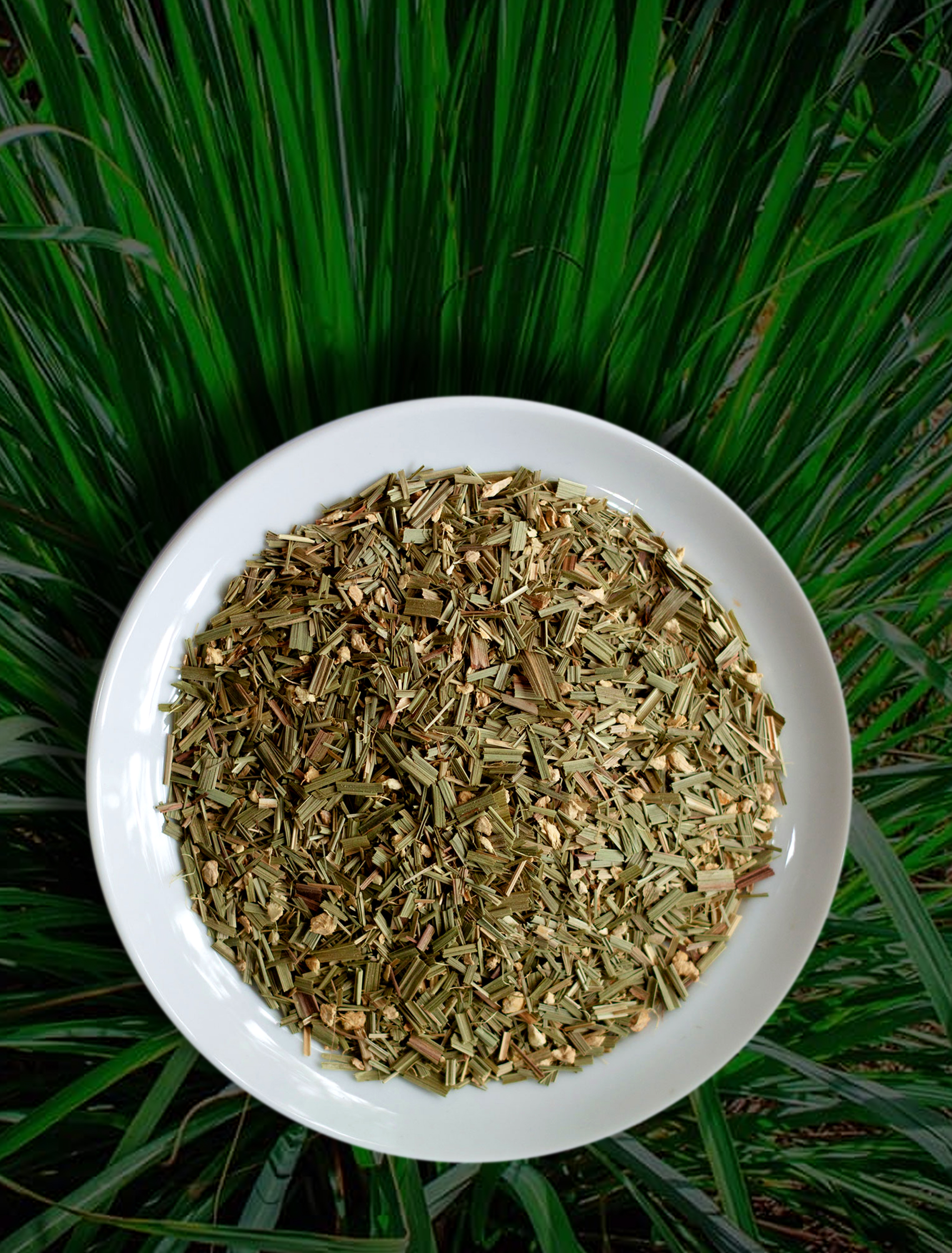 Organic Lemongrass – Tea Bag Cut – Seren Leaf Organic – Bio Bliss