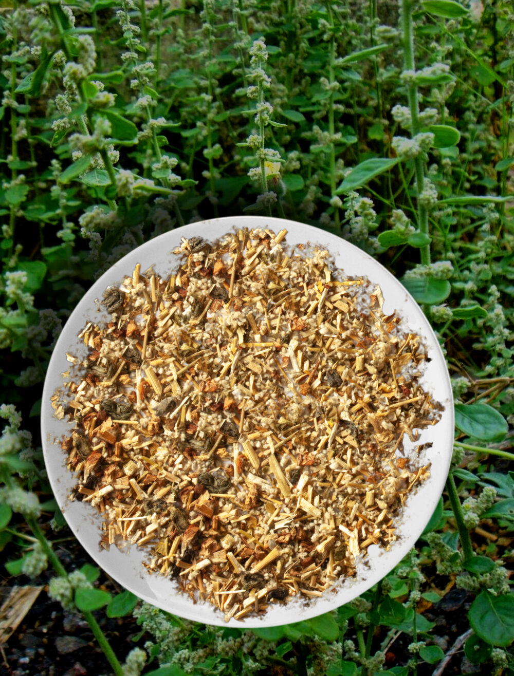 Organic Polpala (Aerva lanata) – Tea Bag Cut – Organic Life Teas