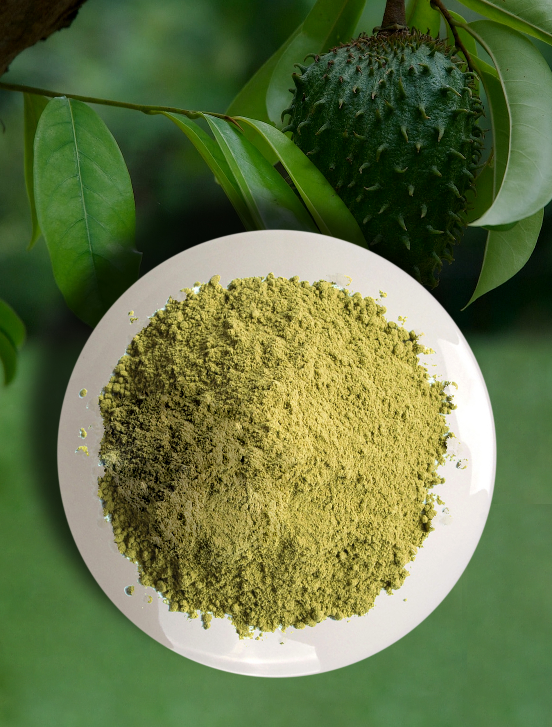 Organic Soursop Leaf – Powder – Seren Leaf Organic – Bio Bliss