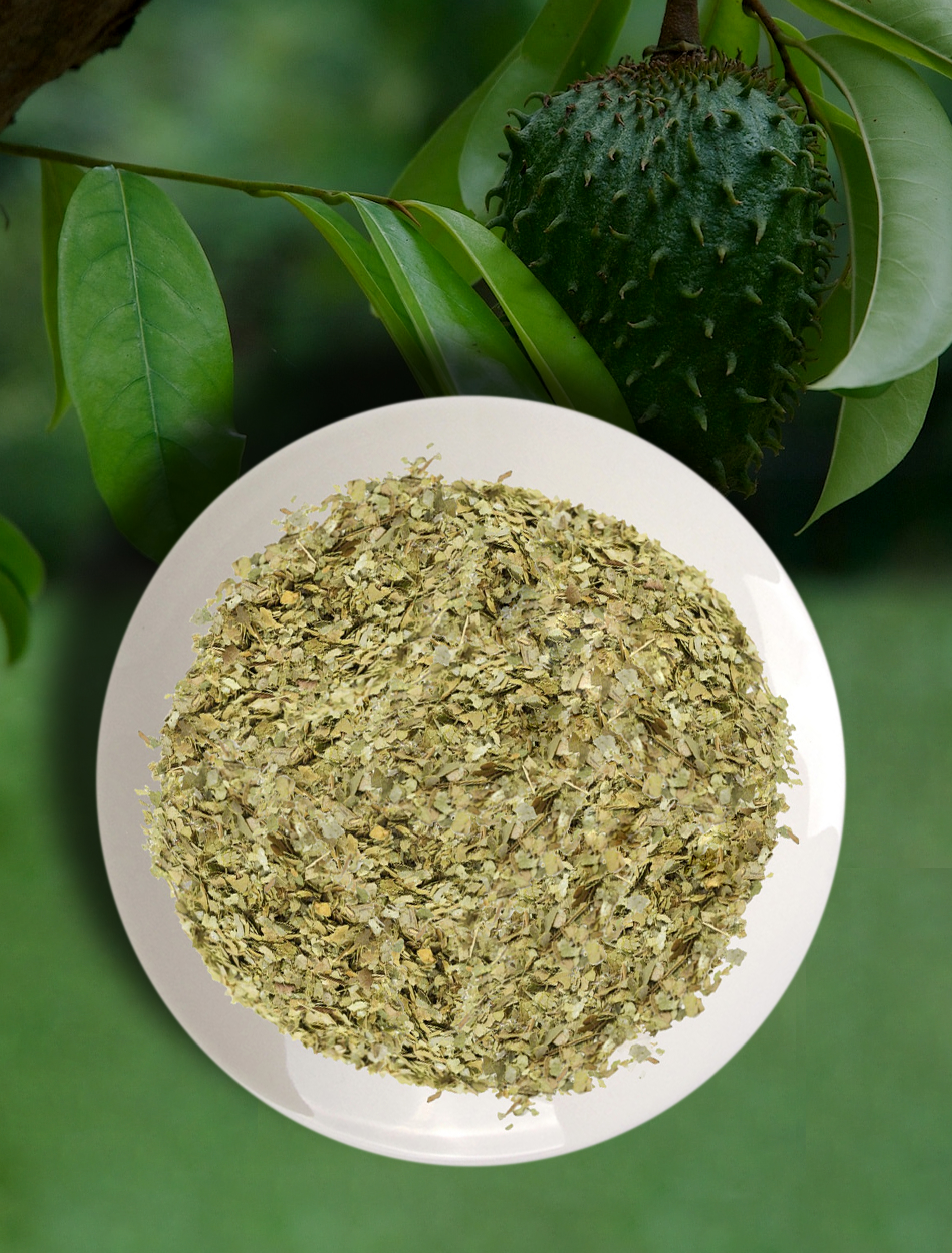 Organic Soursop Leaf – Tea Bag Cut – Seren Leaf Organic – Bio Bliss
